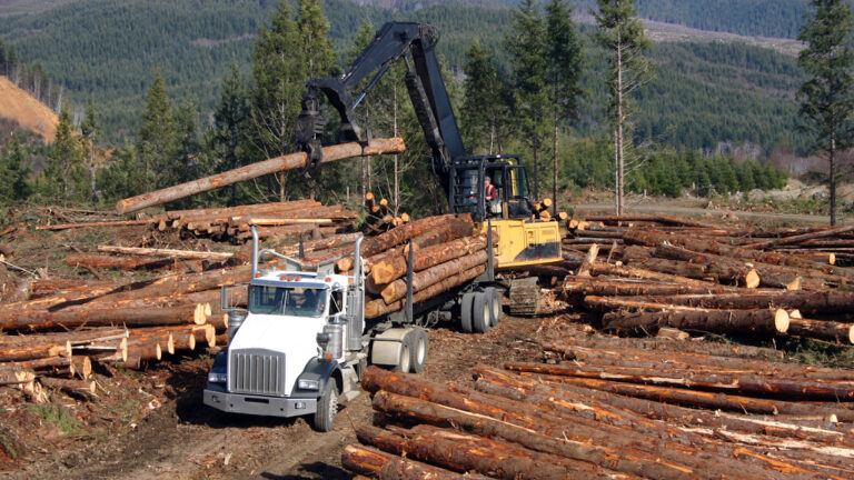 NLBMDA: US escalates softwood lumber trade war with Canada