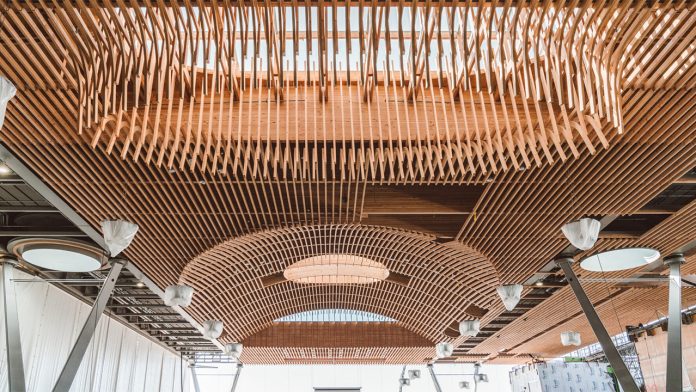 Timberlab Named Innovator of the Year by the Portland Business Journal