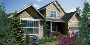 CertainTeed Northwoods 7-inch Straight Edge Perfection Shingle