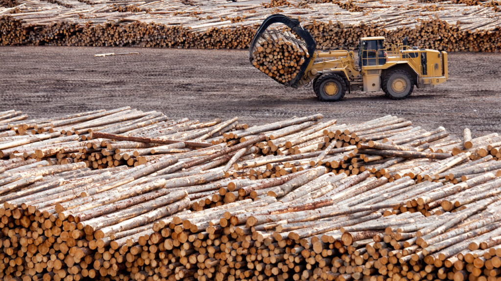 Ruling favors Canada in latest softwood lumber dispute Ruling favors Canada in latest softwood lumber dispute
